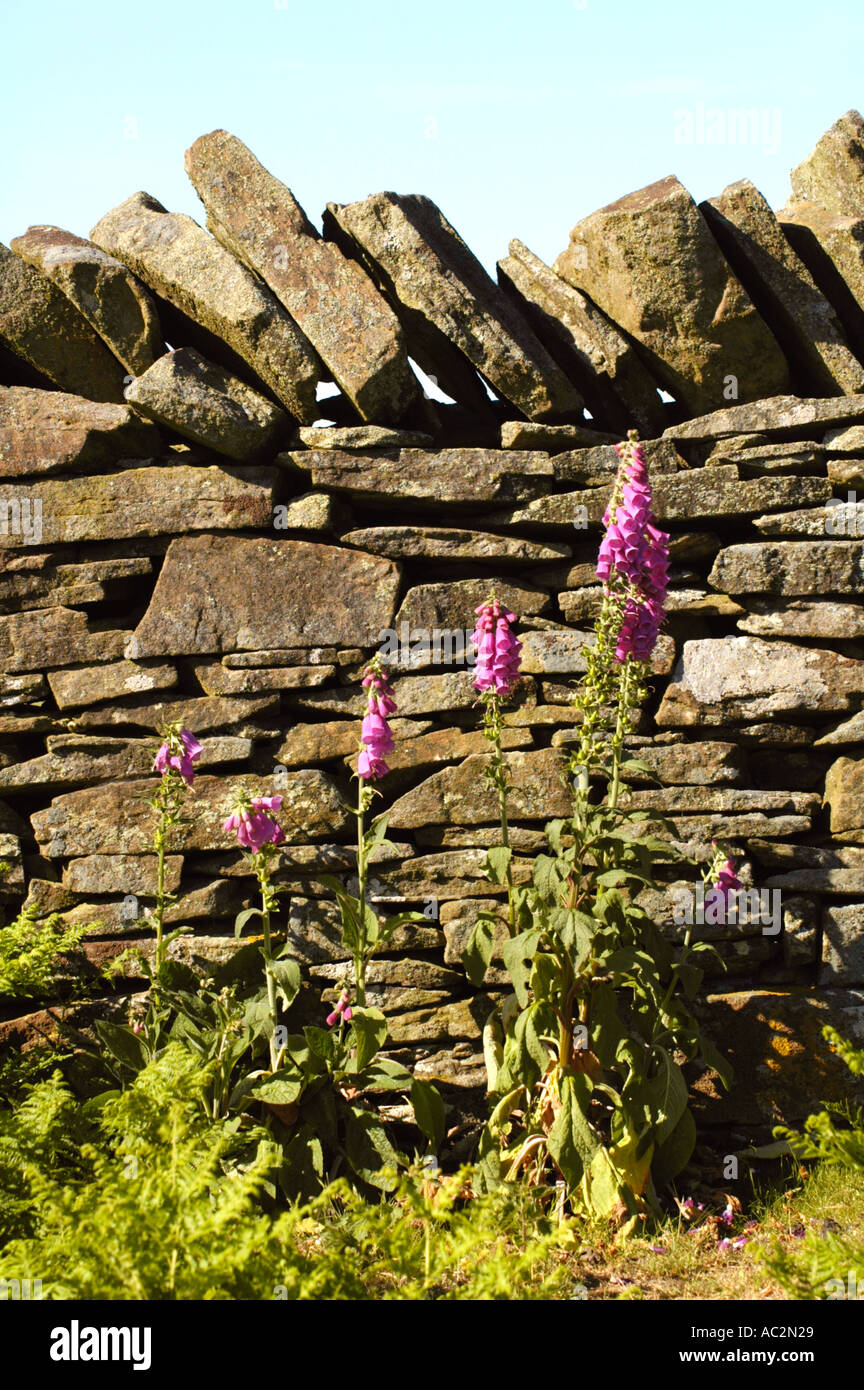 Painscastle hi-res stock photography and images - Alamy