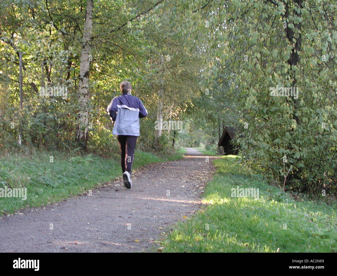 Man running in the forrest Stock Photo - Alamy