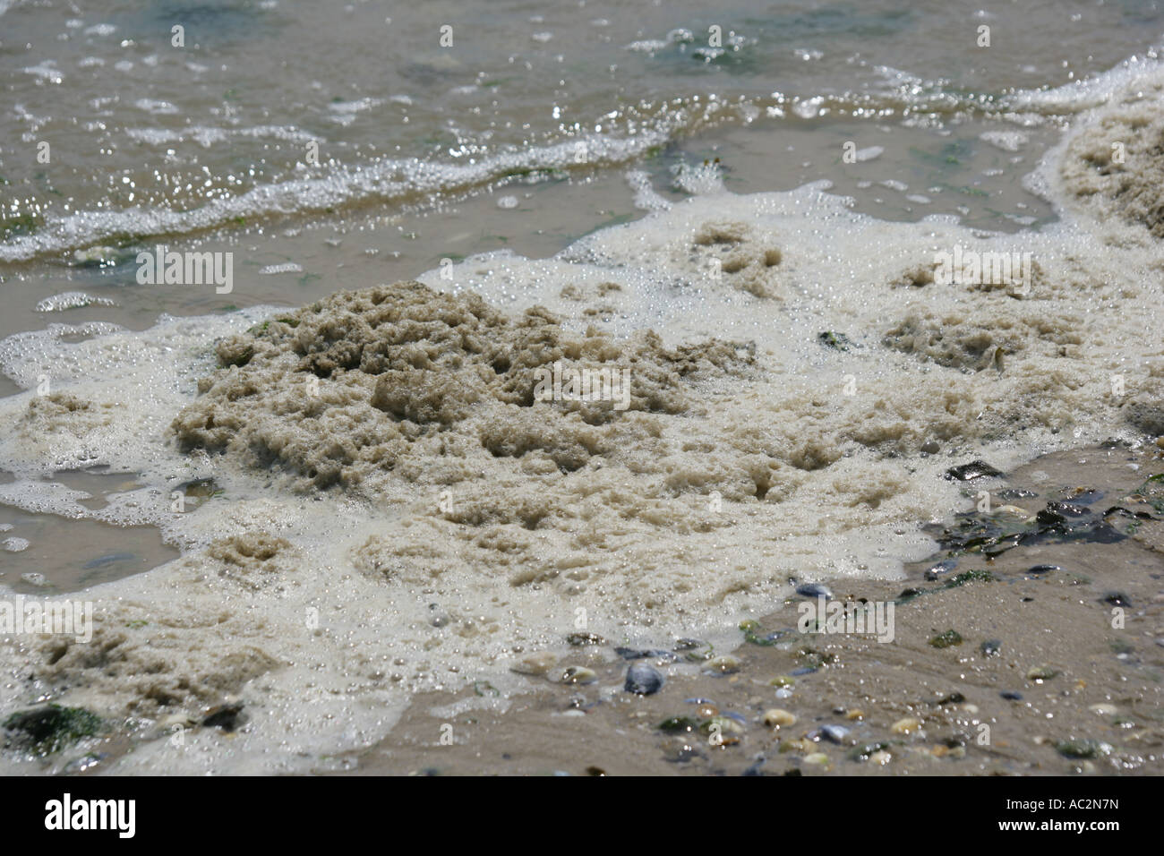 Sea pollution, Southend on Sea beach, Essex, England, UK Stock Photo ...
