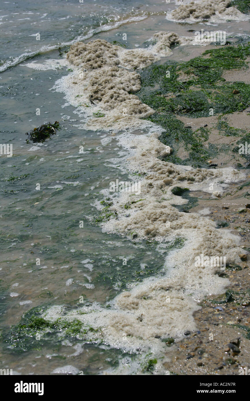 Sea pollution, Southend on Sea beach, Essex England UK Stock Photo - Alamy