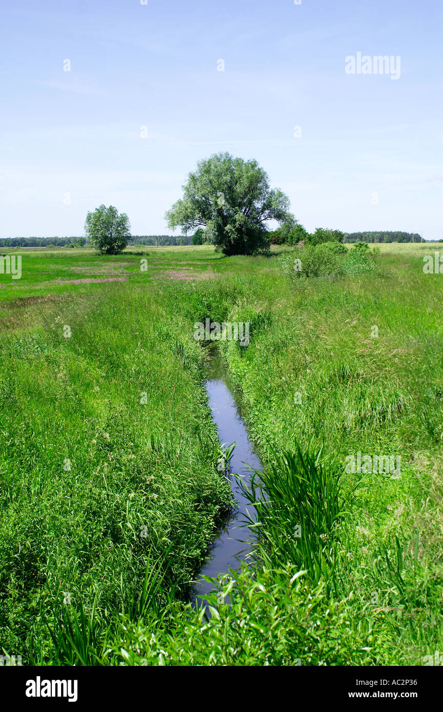 Little river still water hi-res stock photography and images - Alamy