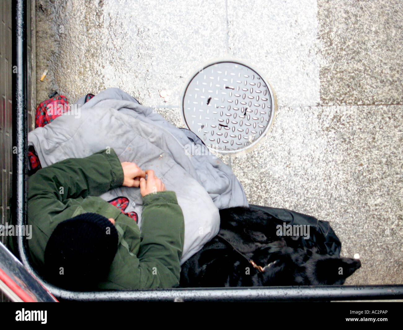 Rough sleeper dog hi-res stock photography and images - Alamy