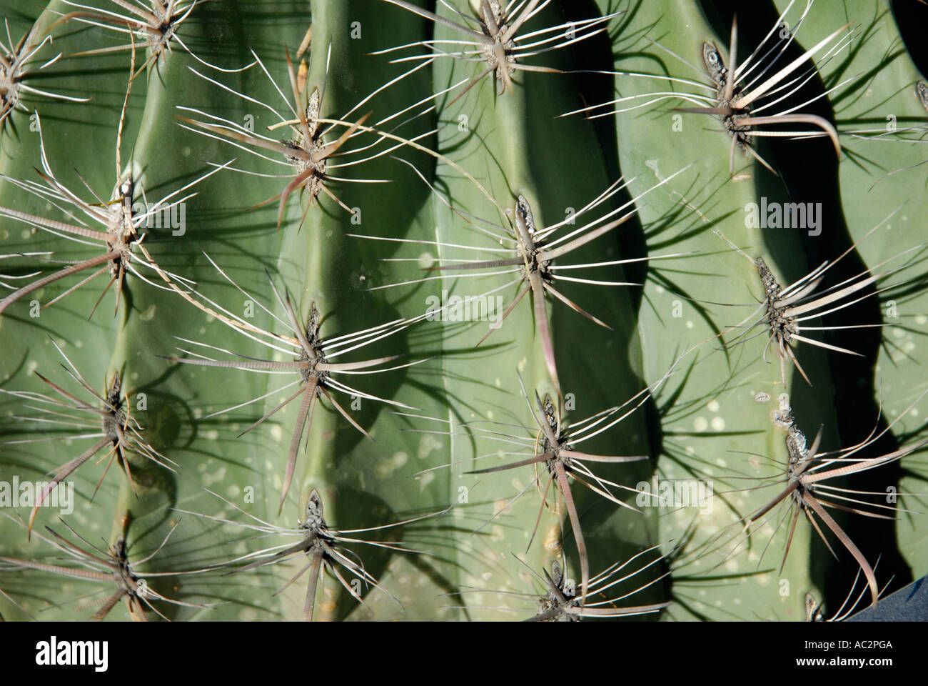 Barbed fish hook hi-res stock photography and images - Alamy