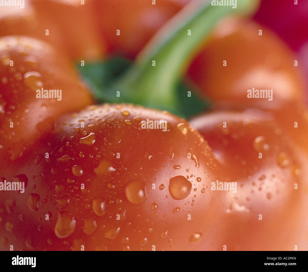 capsicum, pepper, paprika red Stock Photo - Alamy