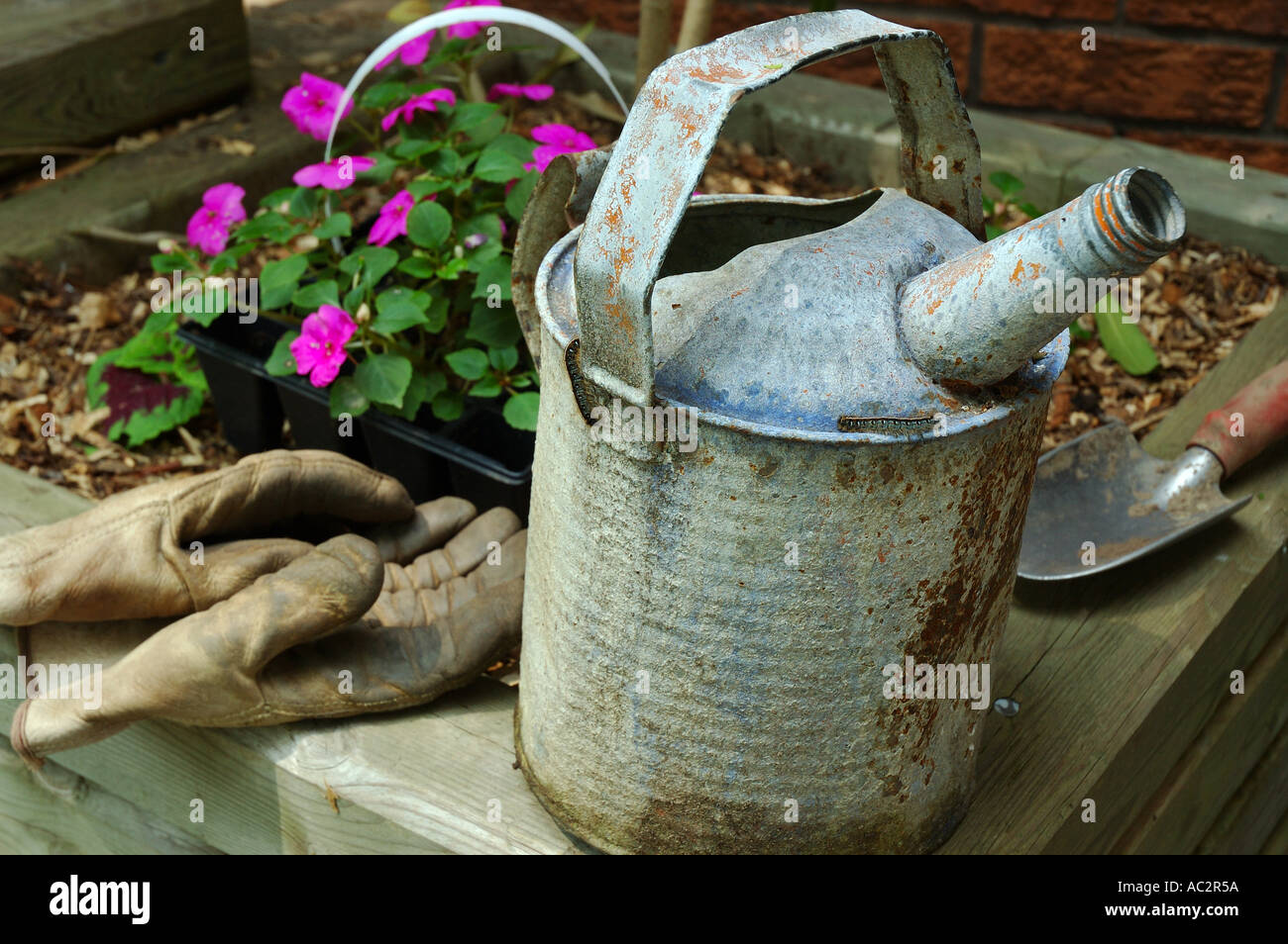 Ancient Watering Can on planter with gloves and trowel Stock Photo - Alamy