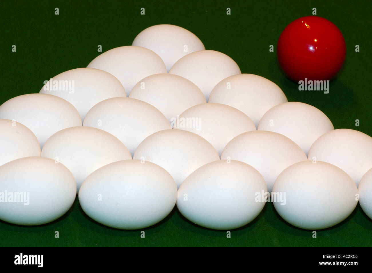 Racked up eggs and red snooker ball on pool table Stock Photo - Alamy