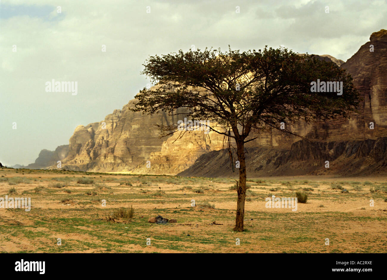 Oasis wadi rum jordan hi-res stock photography and images - Alamy