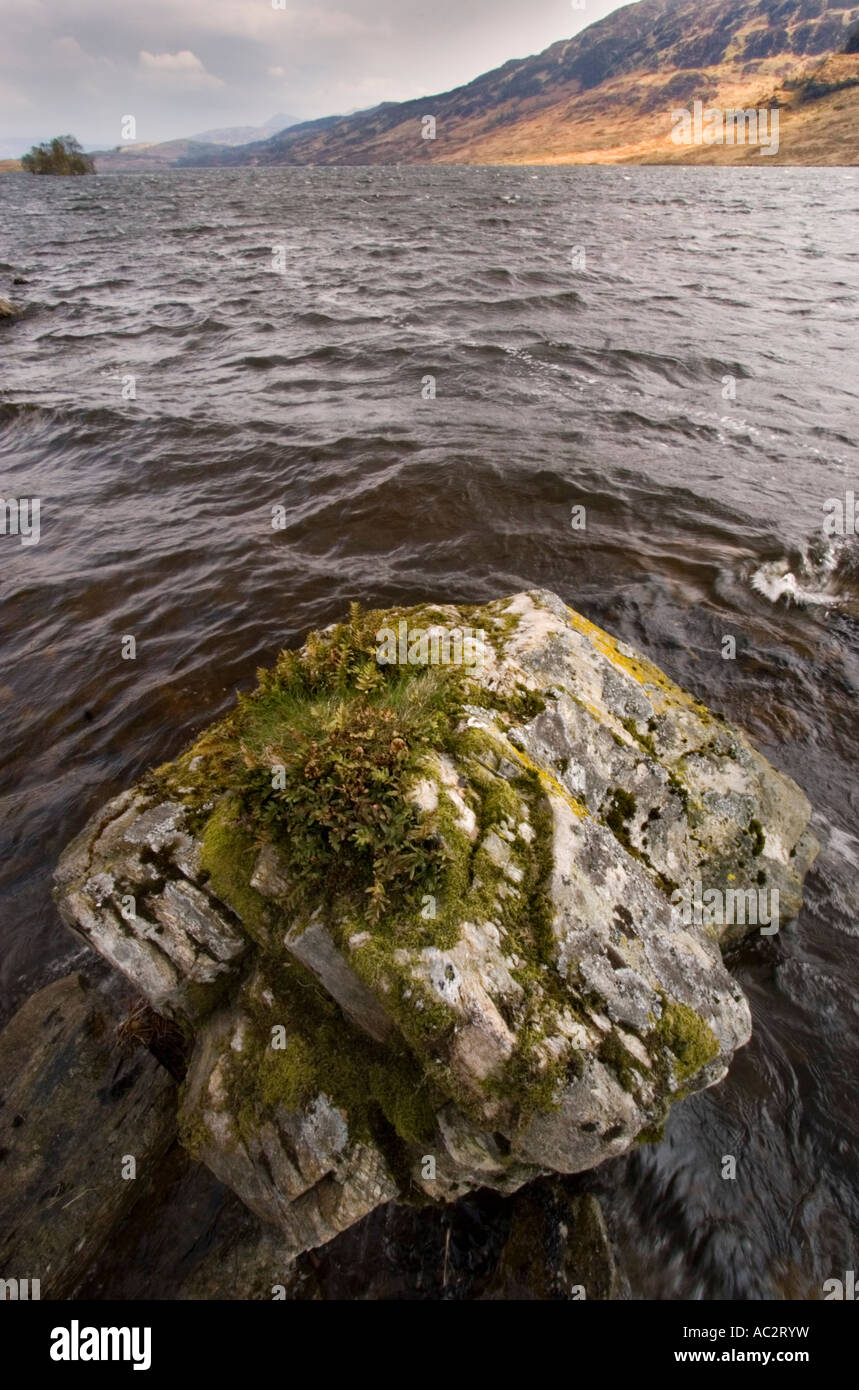Boulder in Loch Arklet, Trossachs, Scotland Stock Photo - Alamy