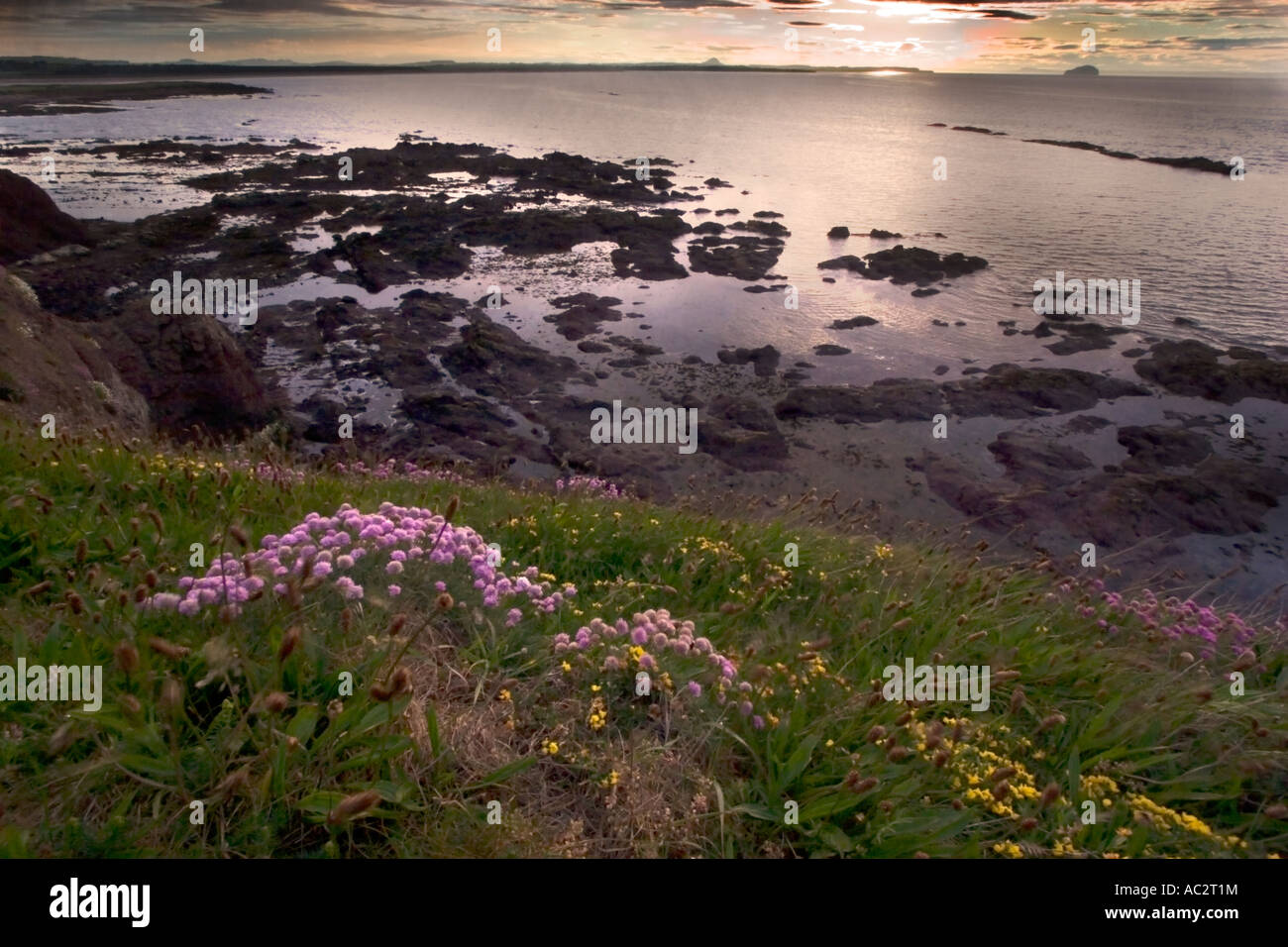 Sunset over the Bass Rock from Dunbar, Scotland Stock Photo - Alamy