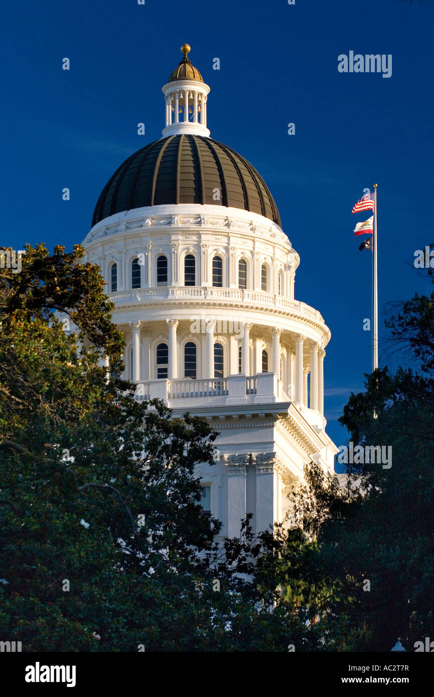 Sacramento capitol building flags hi-res stock photography and images ...