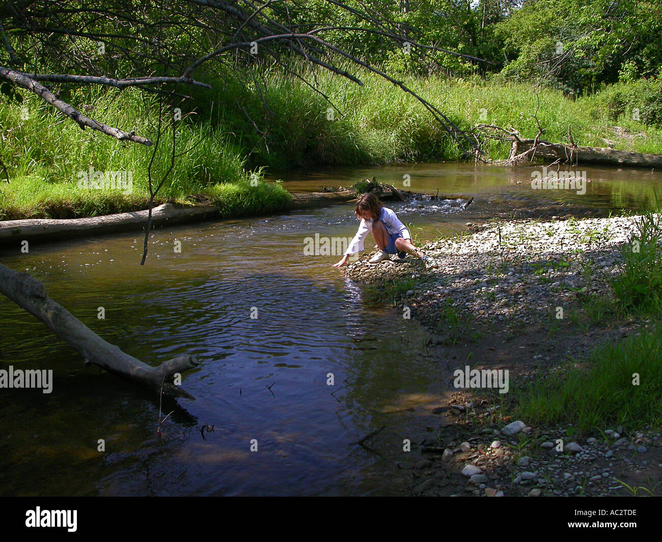 Young girl touching the Cool Water of a stream at Kortright Centre ...