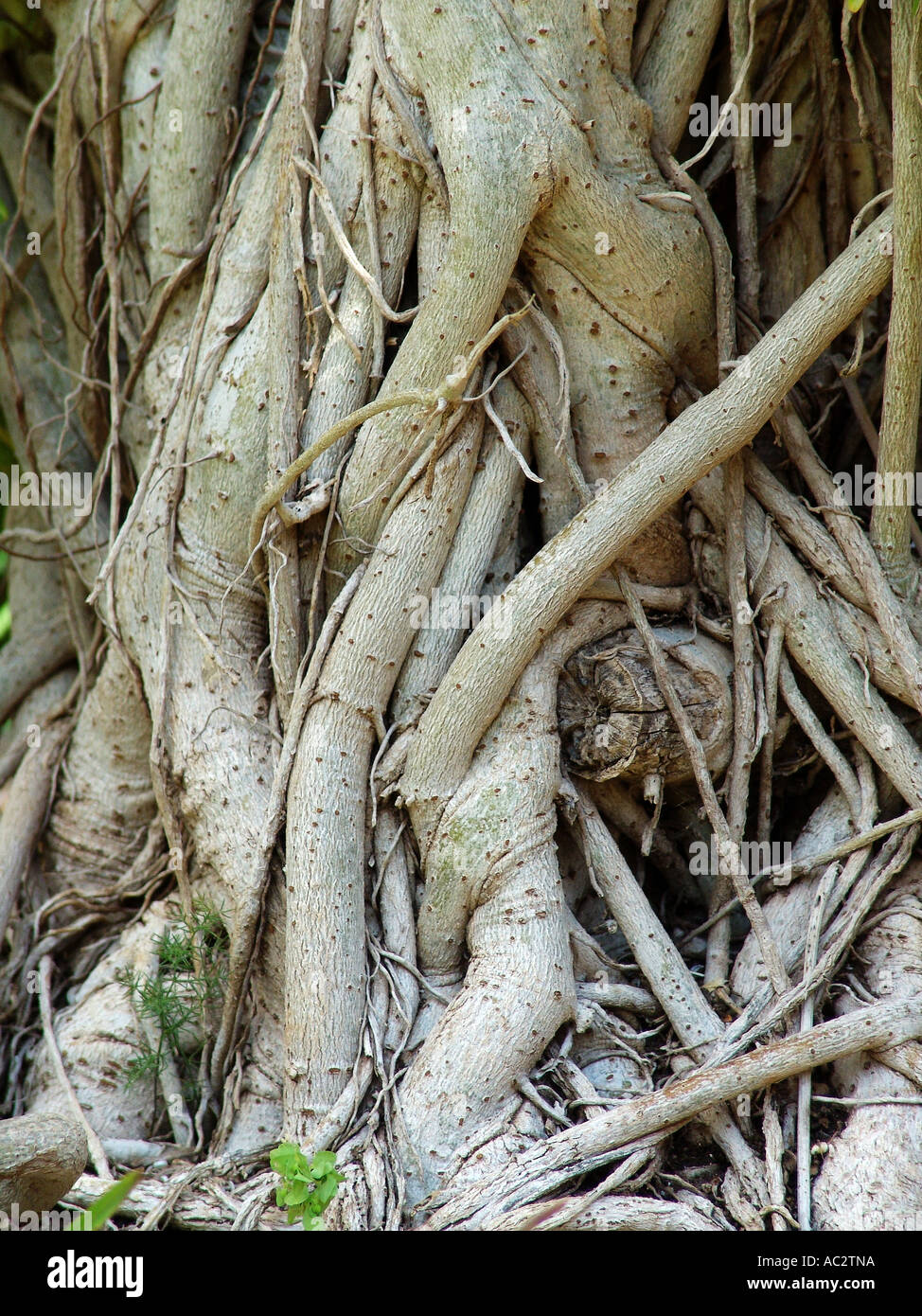 Lka symbol hi-res stock photography and images - Alamy