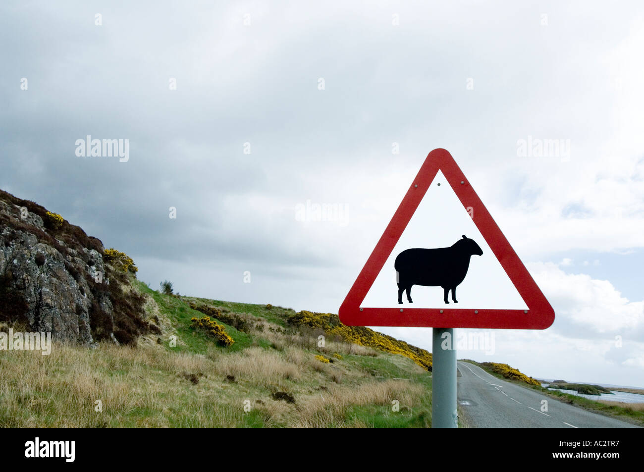 Sheep crossing sign hi-res stock photography and images - Alamy