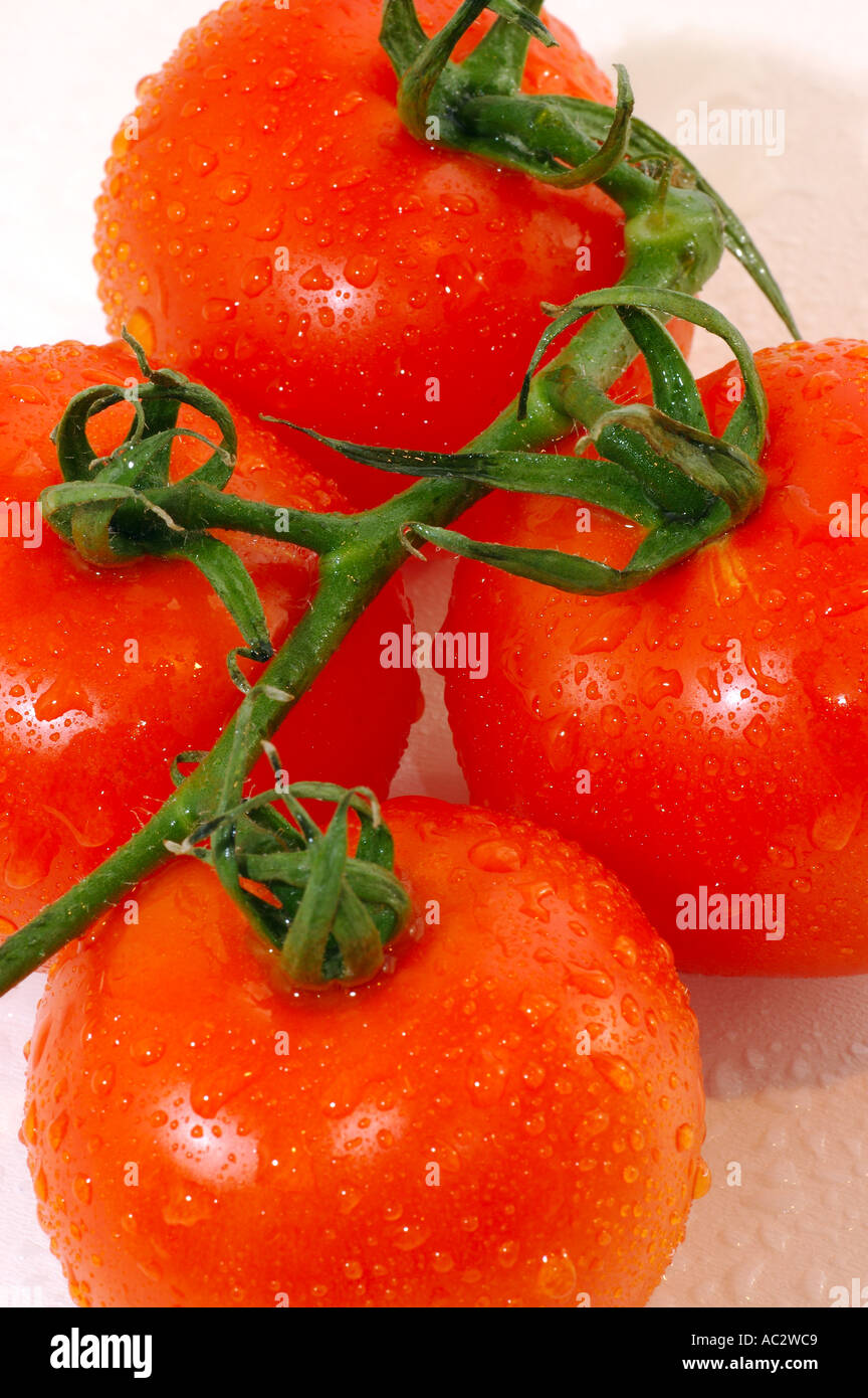 Four wet red tomatoes on a stem Stock Photo - Alamy