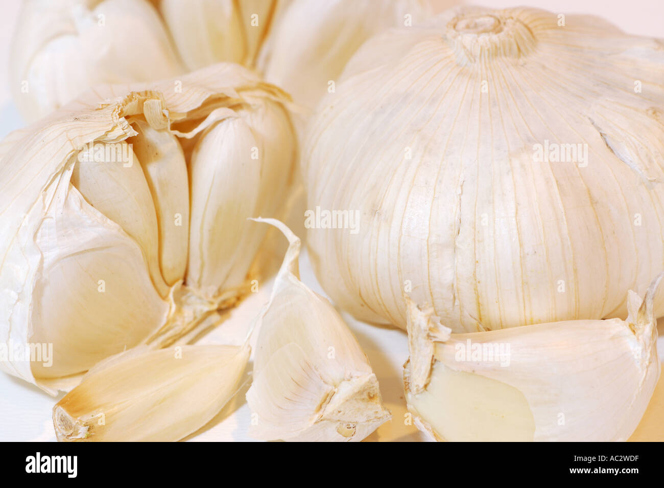 Garlic bulb and cracked open cloves on white background Stock Photo - Alamy