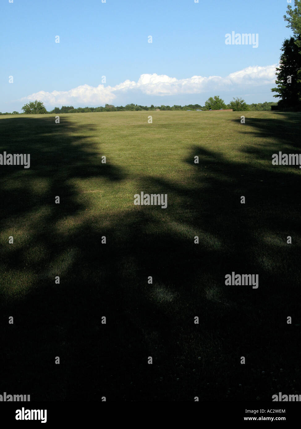 Meadow enveloped by shade Stock Photo - Alamy