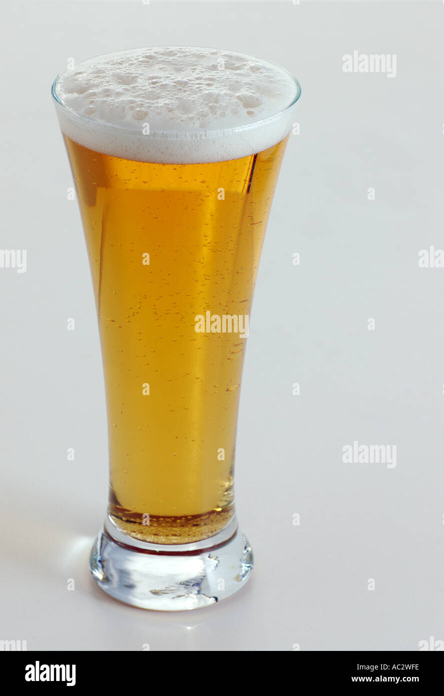 Tall glass of beer with head on white background Stock Photo - Alamy