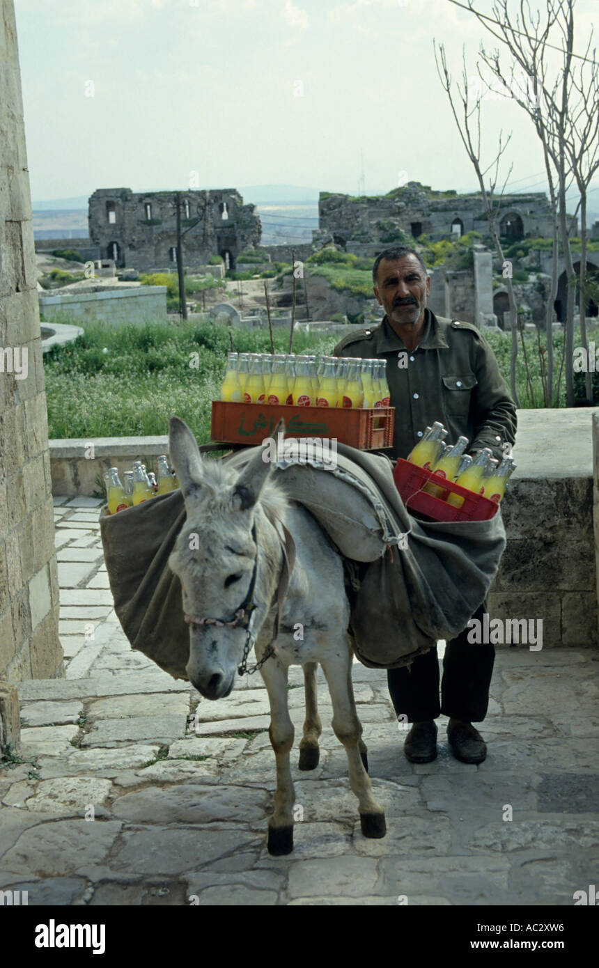 Donkey castle hi-res stock photography and images - Alamy