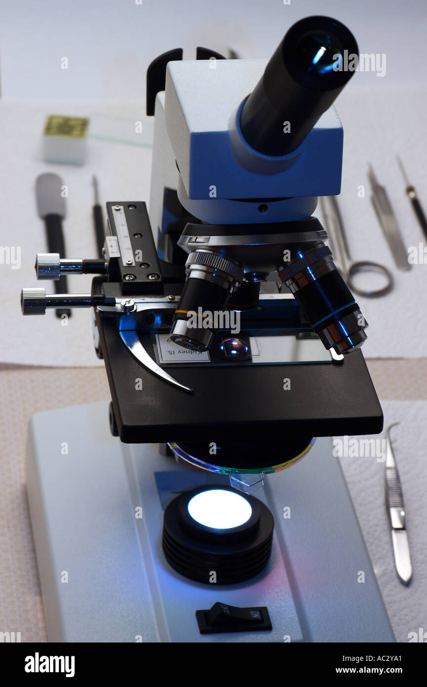 Light Microscope on a laboratory bench Stock Photo - Alamy