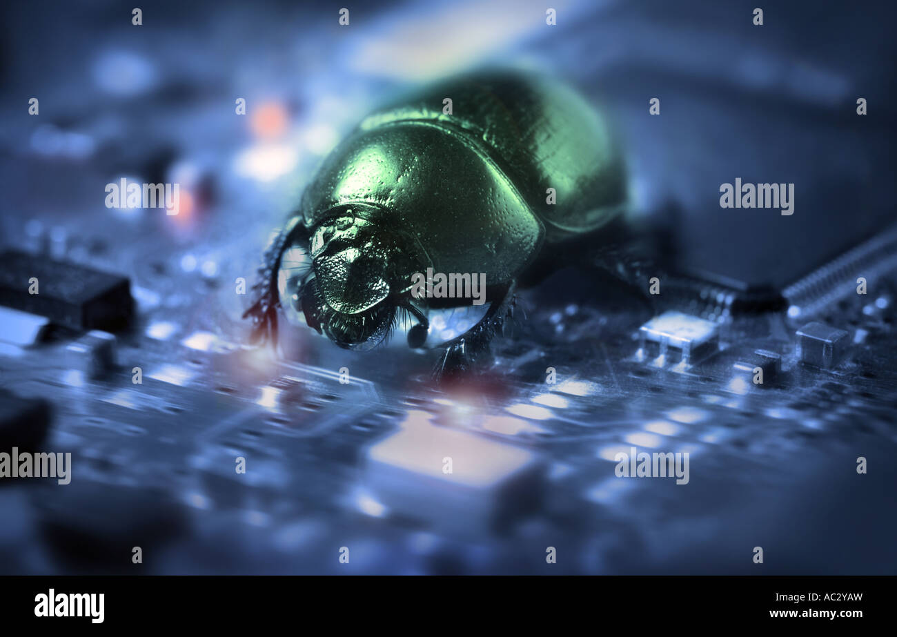 Chip bug hi-res stock photography and images - Alamy