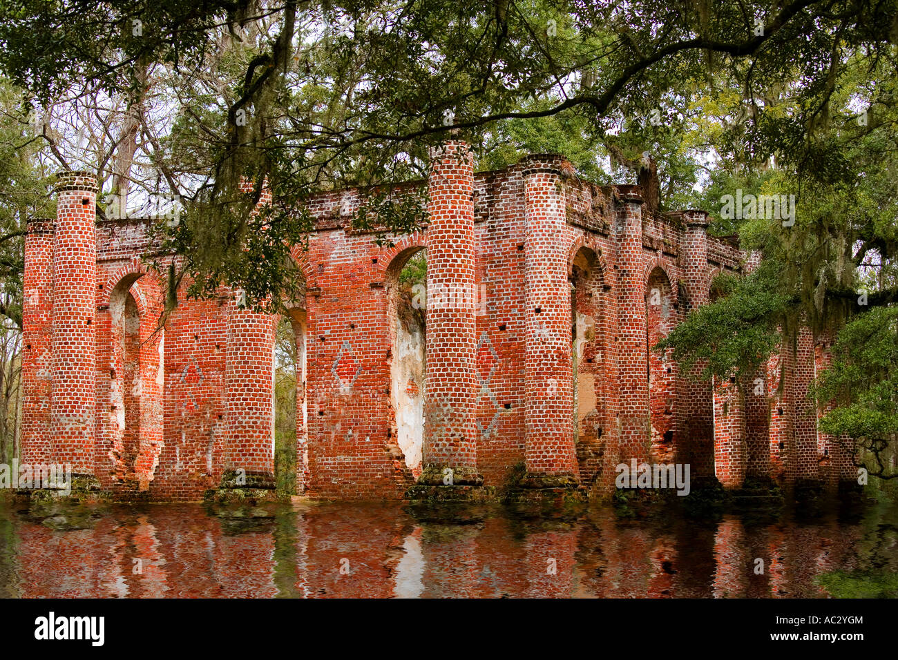 Old Sheldon Church, Beaufort, South Carolina Stock Photo - Alamy