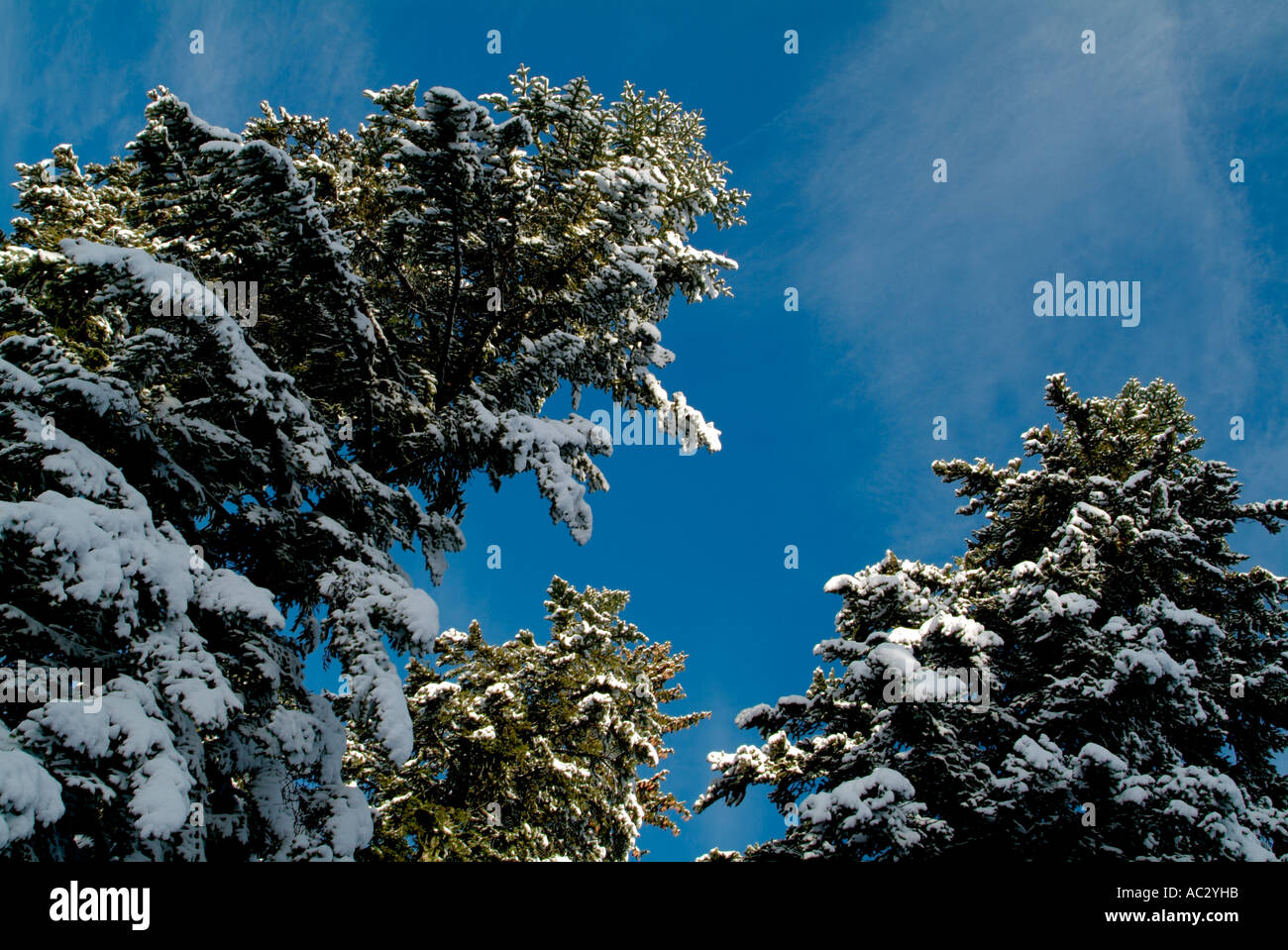 Var564 hi-res stock photography and images - Alamy