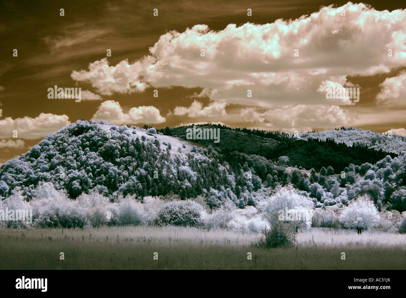 Environment infrared landscape in temperate area depicting pollution ...