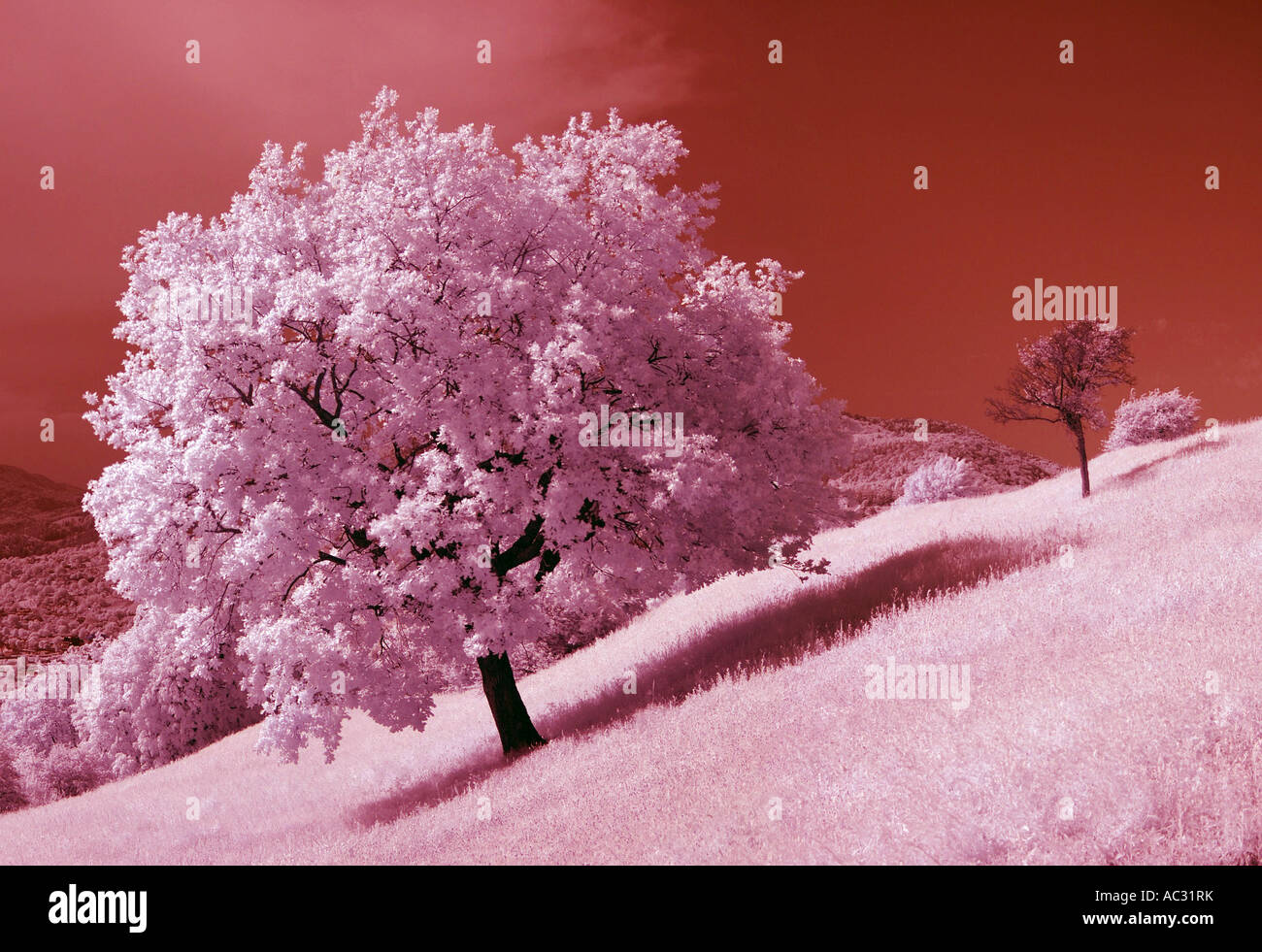 Environment infrared landscape in temperate area depicting pollution ...