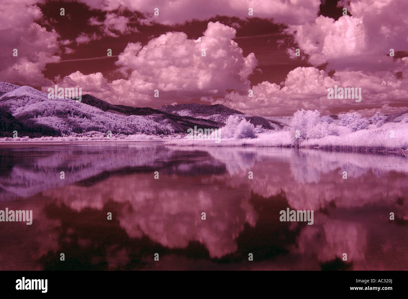 Environment infrared landscape in temperate area depicting pollution ...