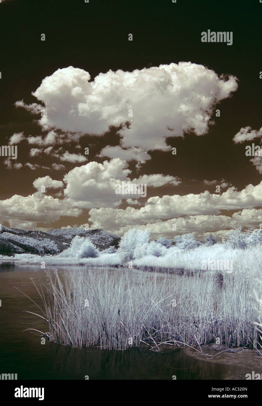 Environment infrared landscape in temperate area depicting pollution ...