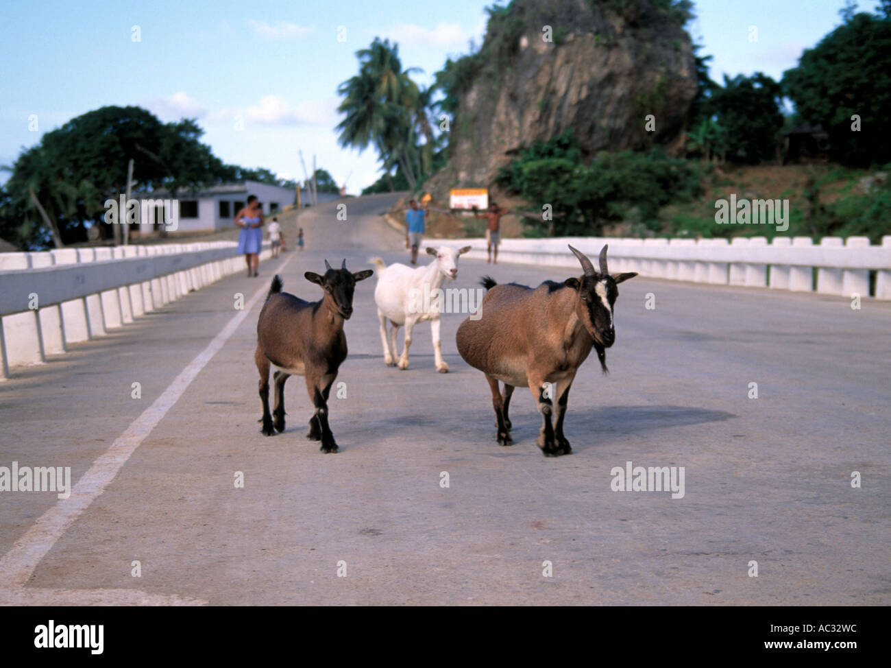 One three animals hi-res stock photography and images - Alamy