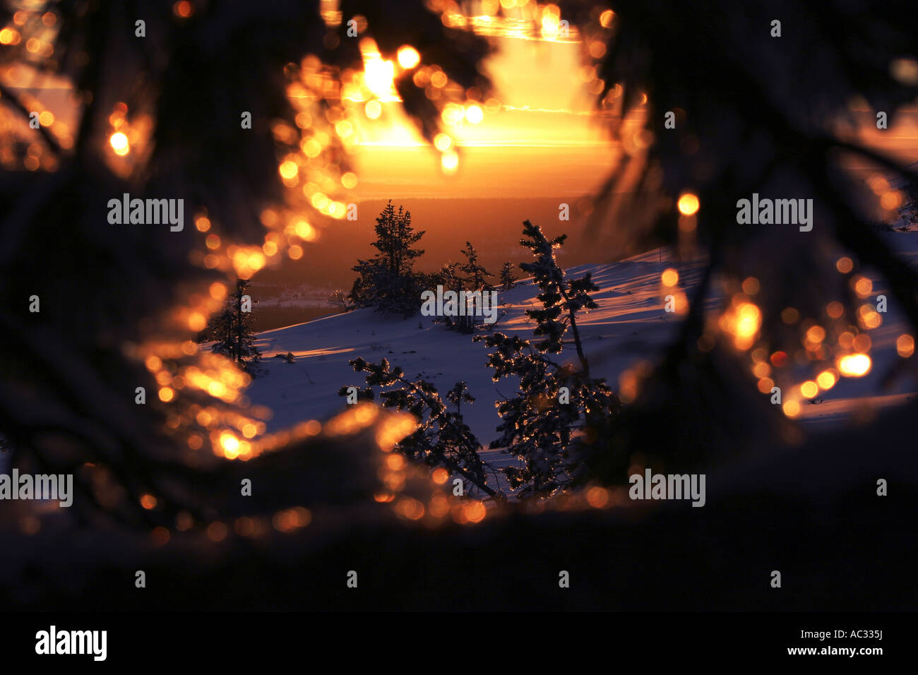 Northern lights levi finland hi-res stock photography and images - Alamy