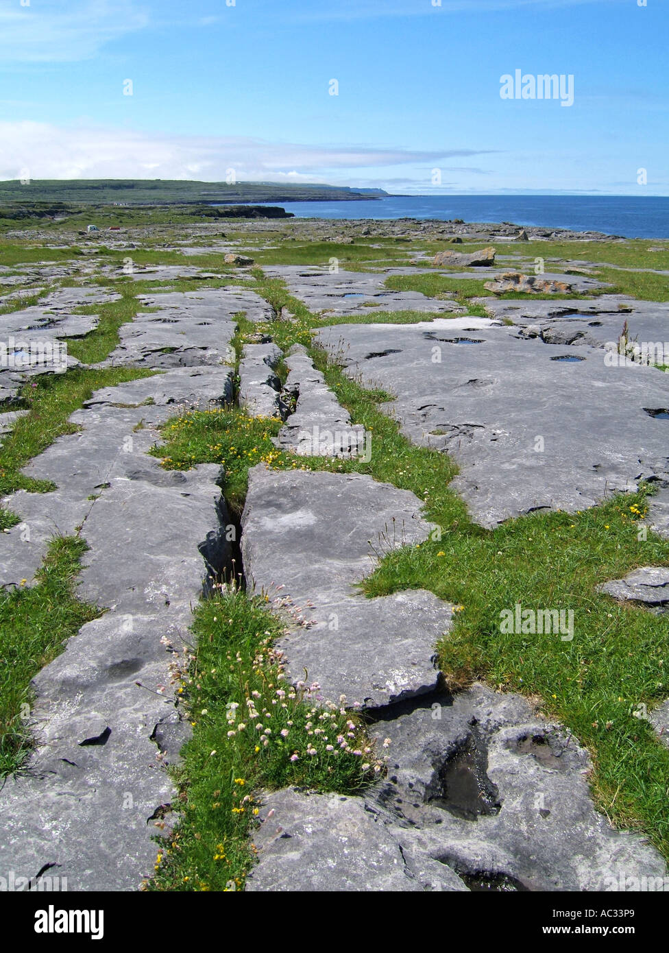 Limestone Pavement, The Burren, County Clare, Eire Stock Photo - Alamy