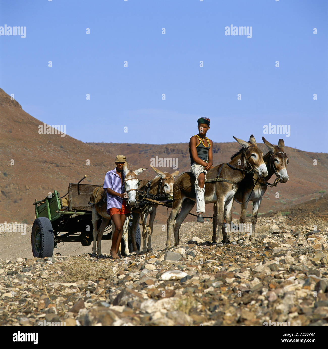 Donkey carts south africa hi-res stock photography and images - Alamy