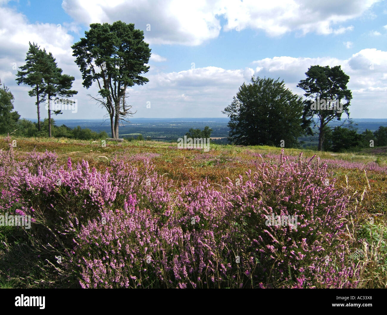 Uk england coldharbour surrey hi-res stock photography and images - Alamy