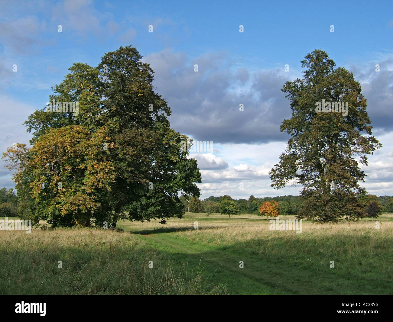 Nonesuch Park Cheam Surrey England UK Stock Photo - Alamy