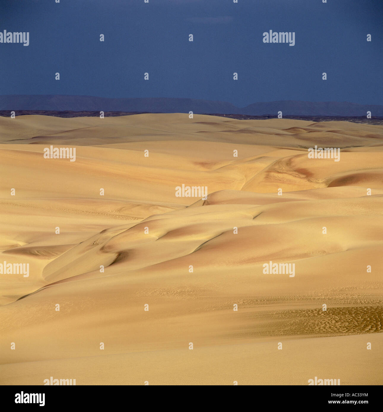 Skeleton Coast park, desert, Namibia Stock Photo - Alamy