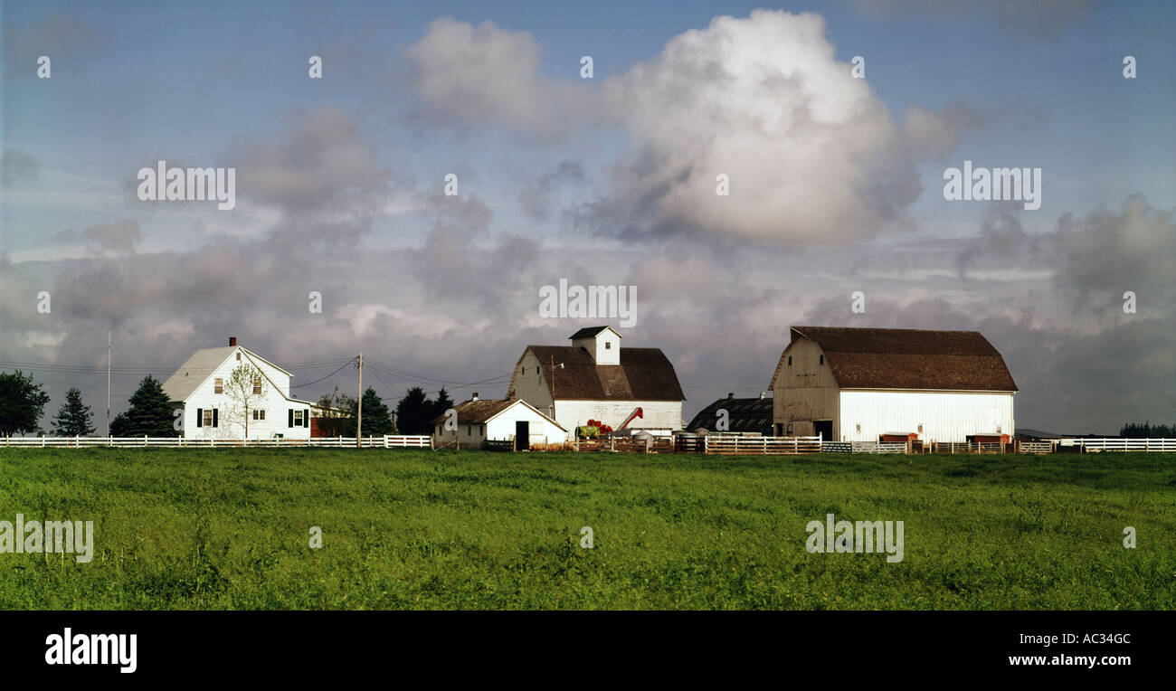 Rural scene with farm home surrounded by barn and outbuildings and ...