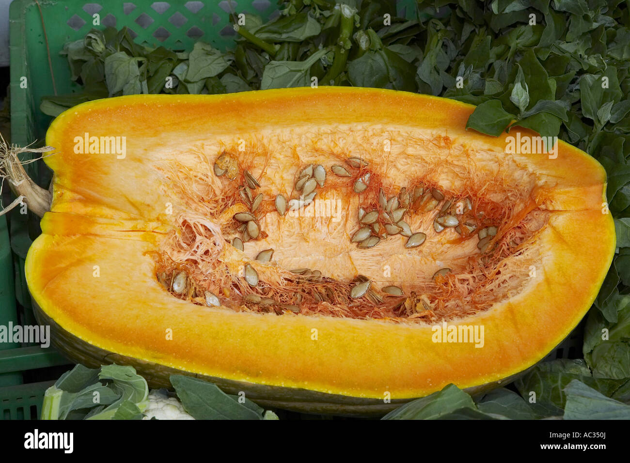 gourd (Cucurbita spec.), at the market, Portugal, Madeira, Funchal ...