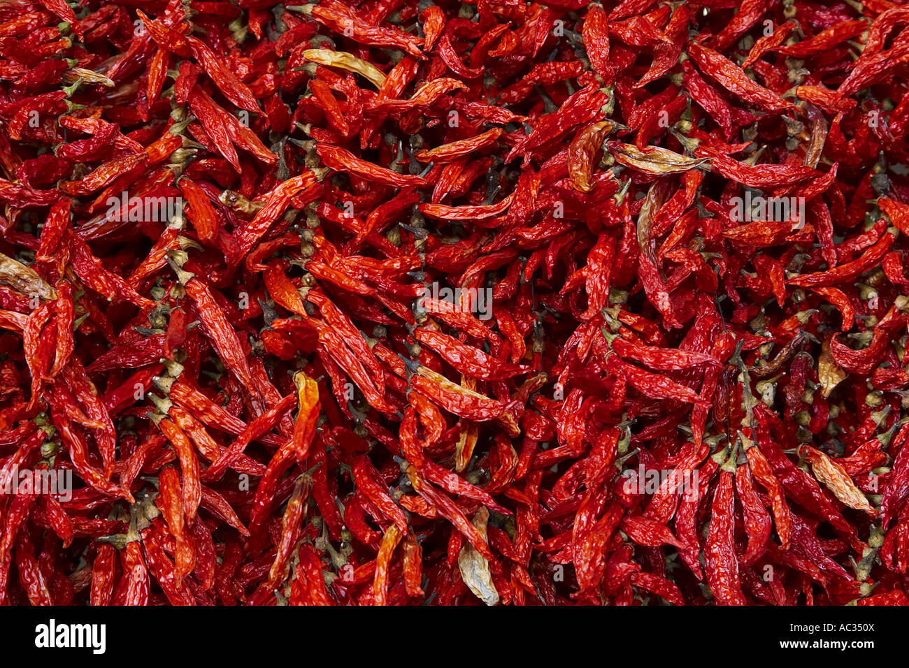 chili pepper, paprika (Capsicum annuum), at the market, sun-dried ...