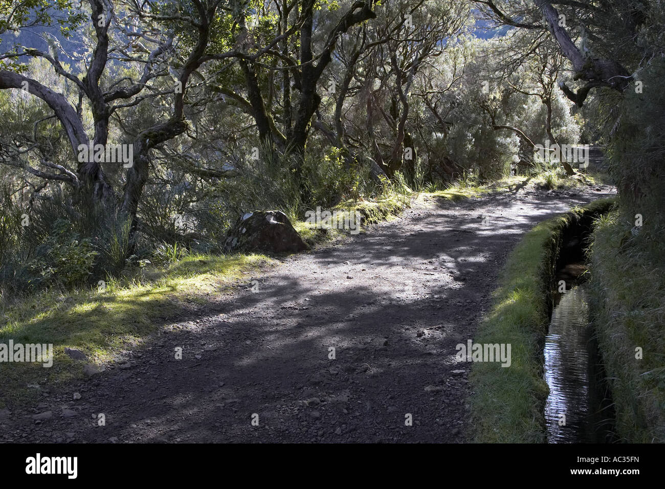 Levada do Risco, Paula Da Serra, Portugal, Madeira Hochebene Stock ...