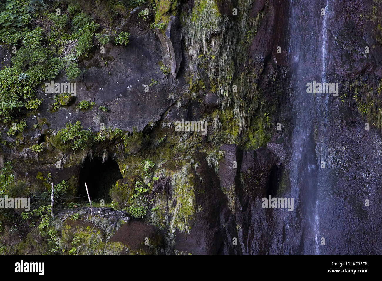 Levada do Risco, Paula Da Serra, Portugal, Madeira Hochebene Stock ...