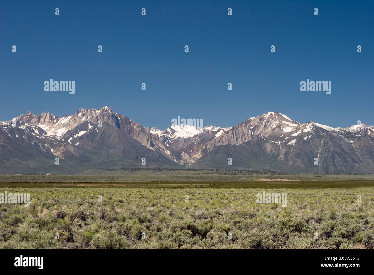 Sierra Nevada mountains as seen from the upper Owens River valley ...