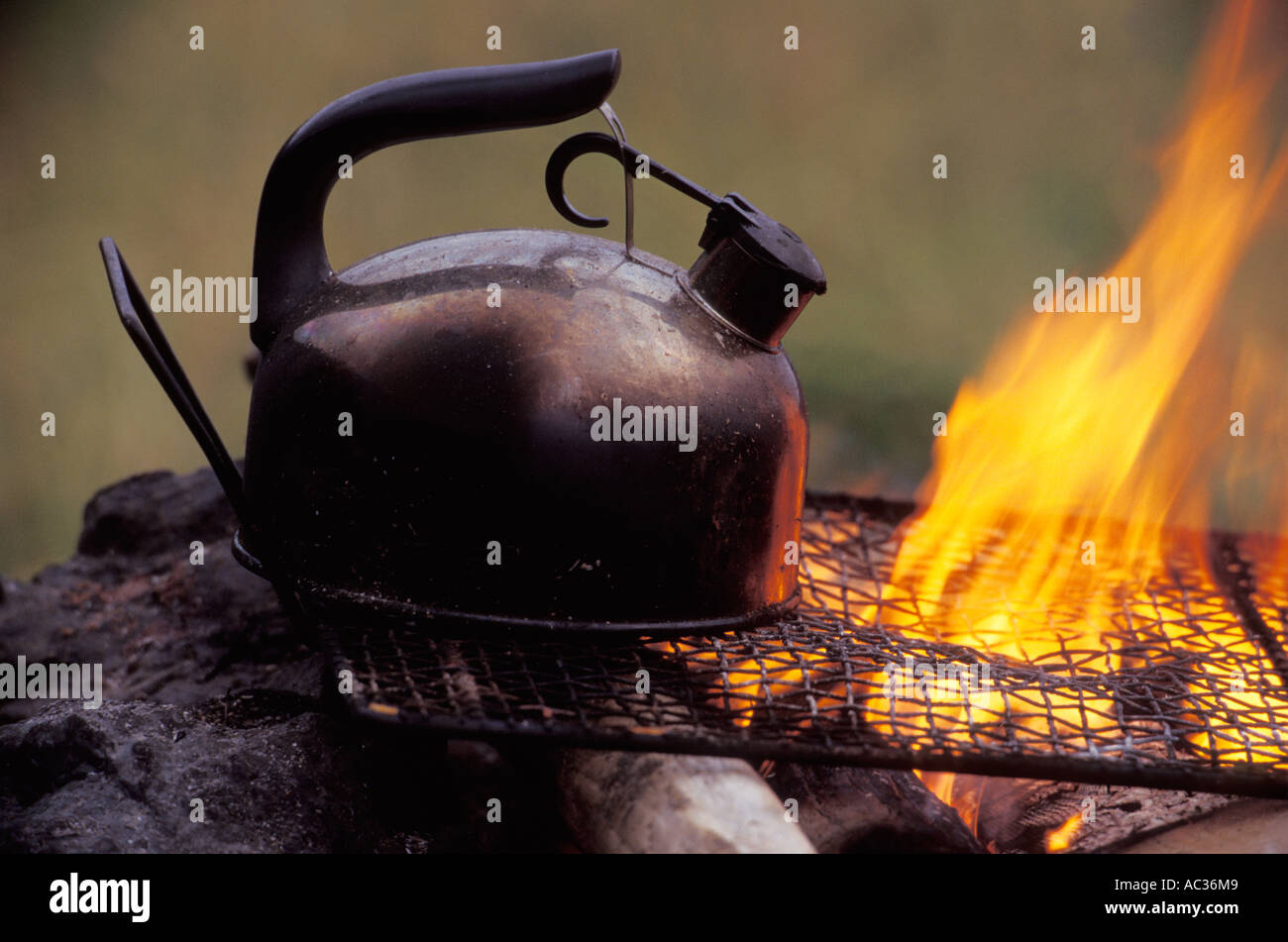 Fire Flames Boiling Tea Coffee Water High Resolution Stock Photography ...