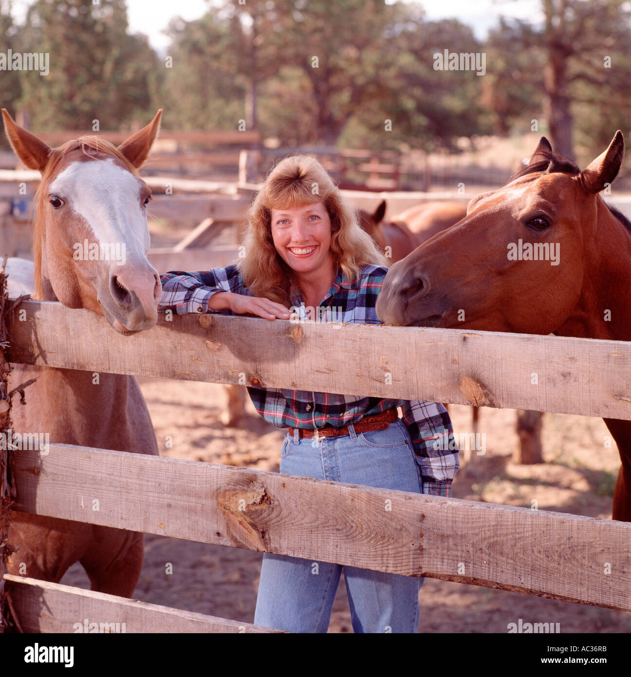 Woman riding horse work hi-res stock photography and images - Alamy