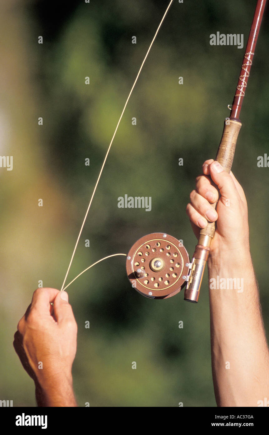 Hands Holding Fly Fishing Rod Stock Photo - Alamy