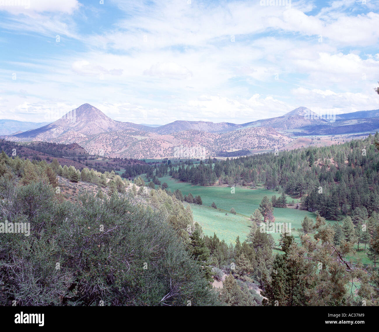 Ochoco national forest hi-res stock photography and images - Alamy