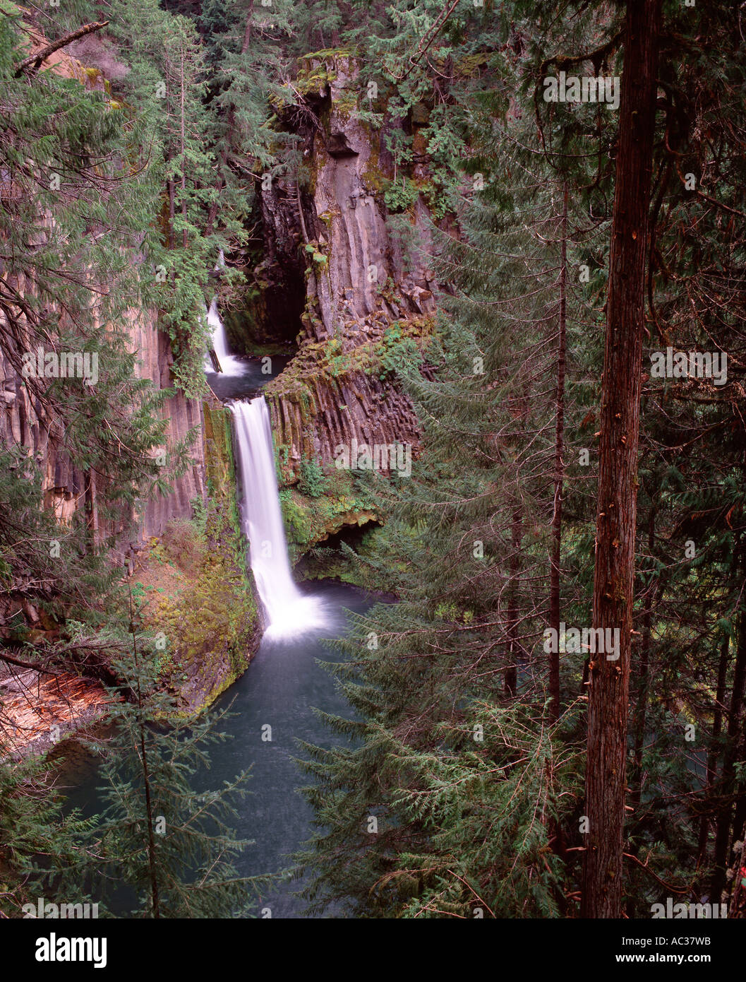 Toketee falls cascade hi-res stock photography and images - Alamy