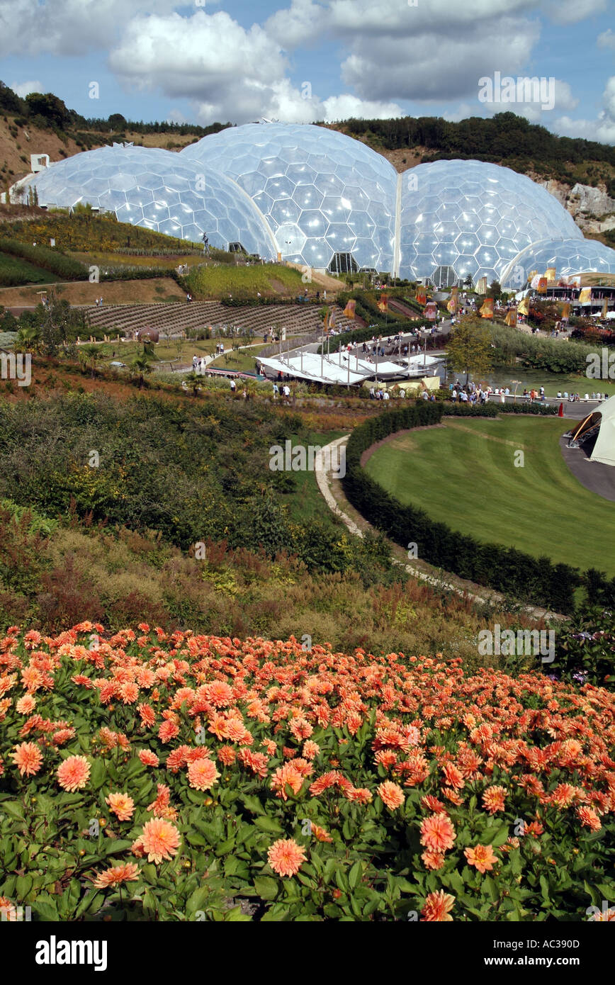 Biome ecology hi-res stock photography and images - Alamy