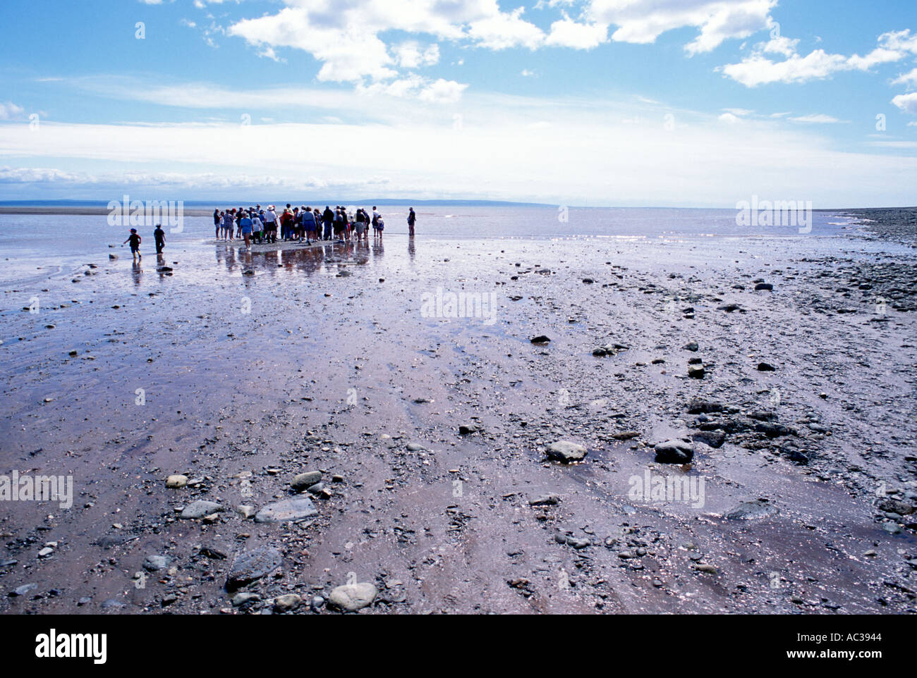 people beachcombing at low tide on the bay of fundy Stock Photo - Alamy